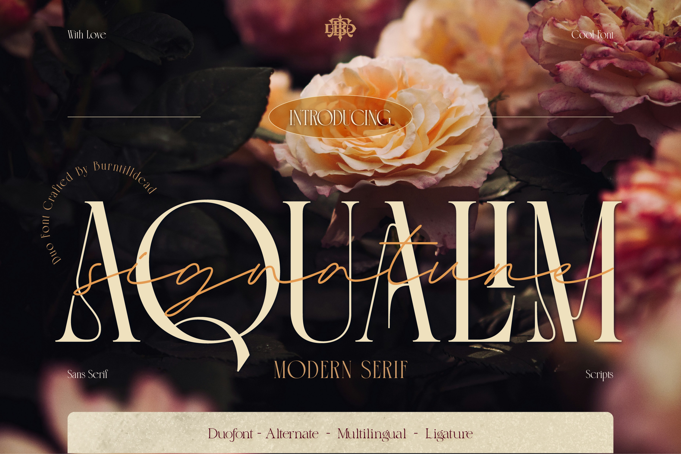 Aqualim Signature - Serif & Script Font - Burntilldead Studio