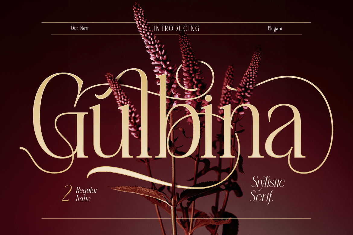 General Information About Font, Typeface, Glyph format and Operating ...